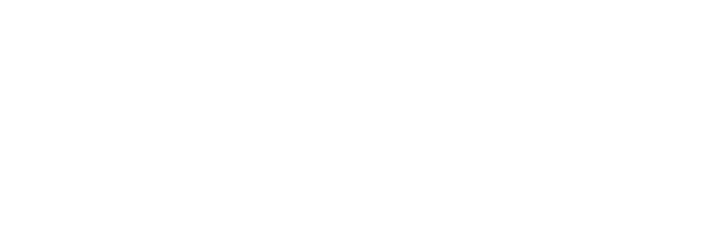 Dealerships | Zagame | Australia | Rodin Cars