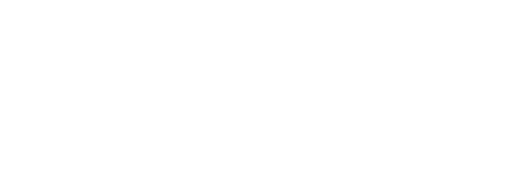 Vehicle Ownership | FZED | FZERO | Training | Rodin Cars